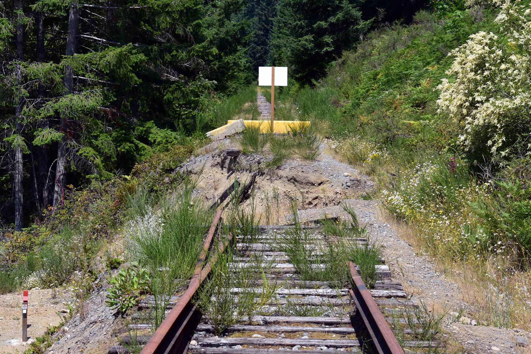 Clear the Tracks for World Class Active Transportation! - Friends of ...